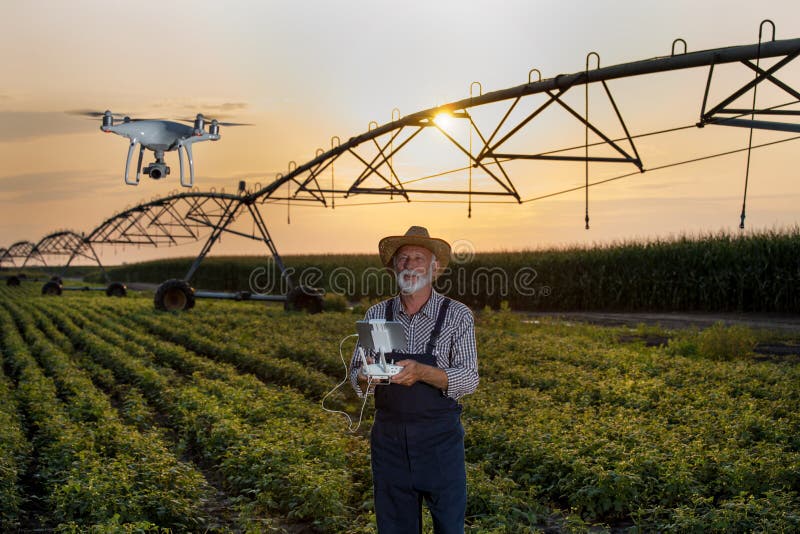 Farmer with Drone in Field with Irrigation System Stock Photo - Image ...