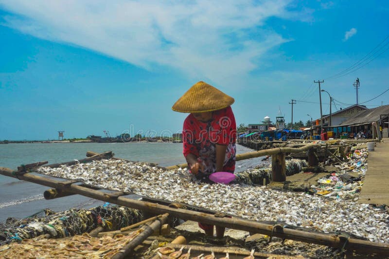 Pandeglang Labuan Stock Photos - Free & Royalty-Free Stock Photos from ...