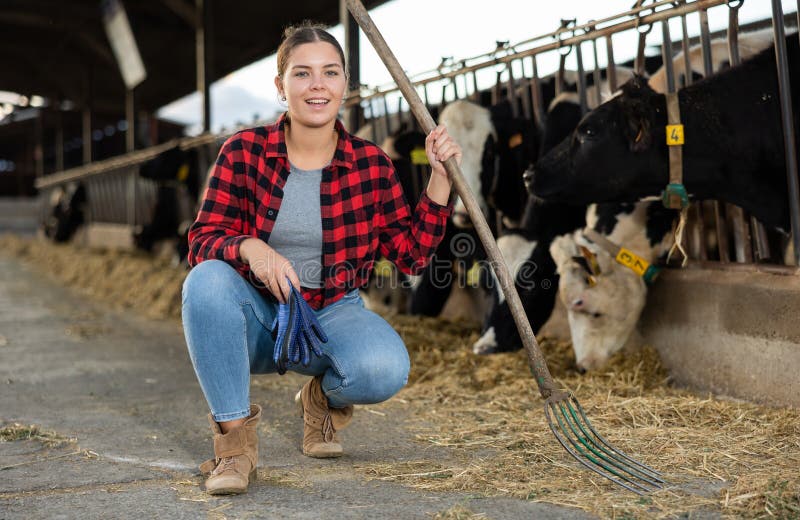 Farmer Engaged in Breeding of Cows Posing in Cowshed Stock Photo ... Farmer Engaged in Breeding of Cows Posing in Cowshed Stock Photo ...