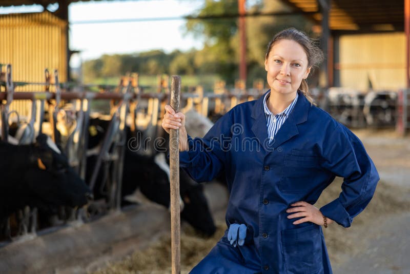 Farmer Engaged in Breeding of Cows Posing in Cowshed Stock Photo ... Farmer Engaged in Breeding of Cows Posing in Cowshed Stock Photo ...