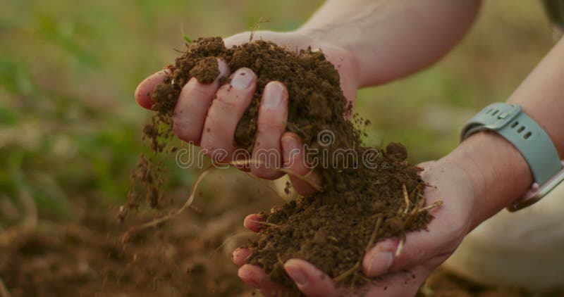 Farmer Examines and Crumbles Soil Structure in Hands Stock Video ...