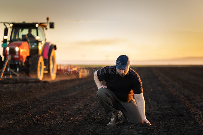 Farmer Examing Dirt while Tractor is Plowing Field Stock Image - Image ...