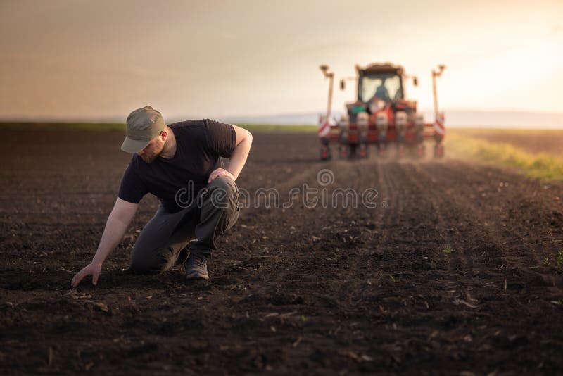 Farmer Examing Dirt while Tractor is Sowing Field Stock Photo - Image ...
