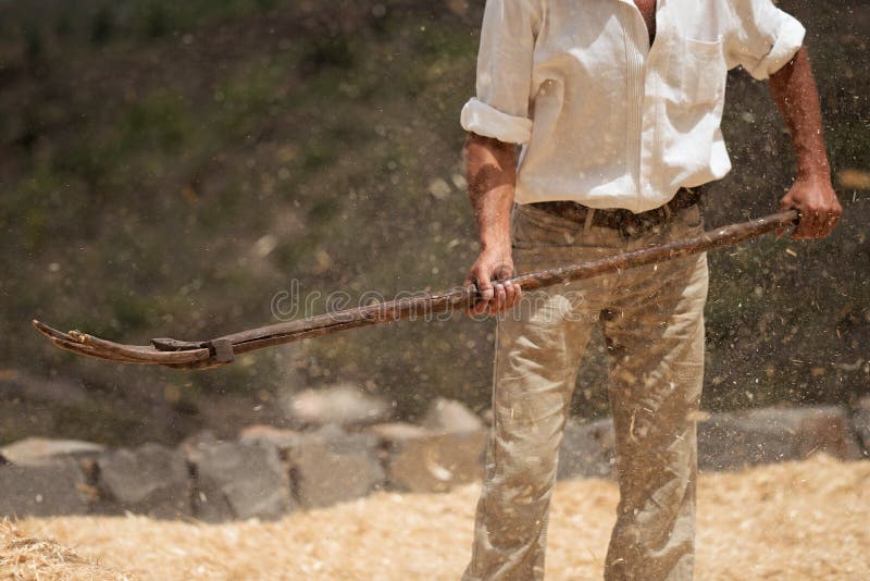 The farmer fanning wheat stock photo. Image of farmer - 121175626