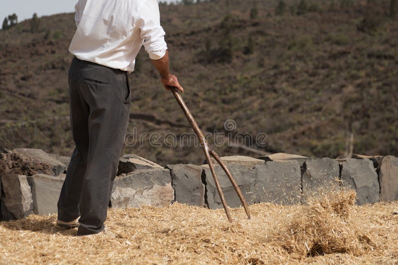 The Farmer Fanning Wheat, Separating the Wheat Stock Photo - Image of ...