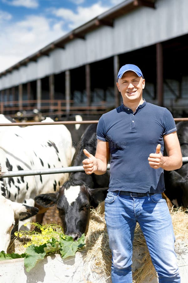 Farmer at Farm with Dairy Cow Stock Image - Image of dairy, food: 177102199