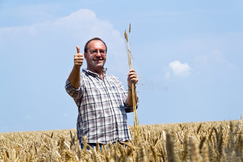 Old Farmer Working in His Fields Stock Photo - Image of looking ...