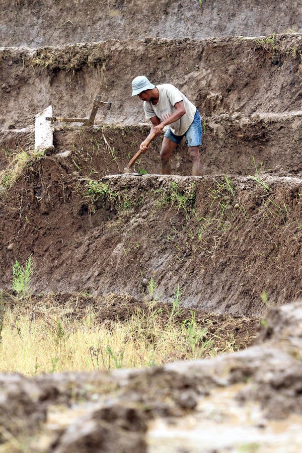 Farmer editorial photo. Image of prepare, season, java - 48487681
