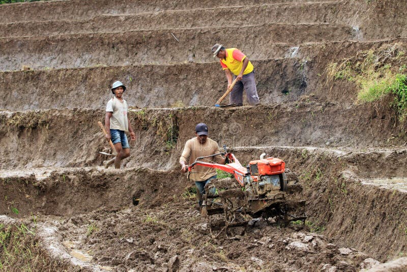 Farmer editorial stock photo. Image of central, farmers - 48487763