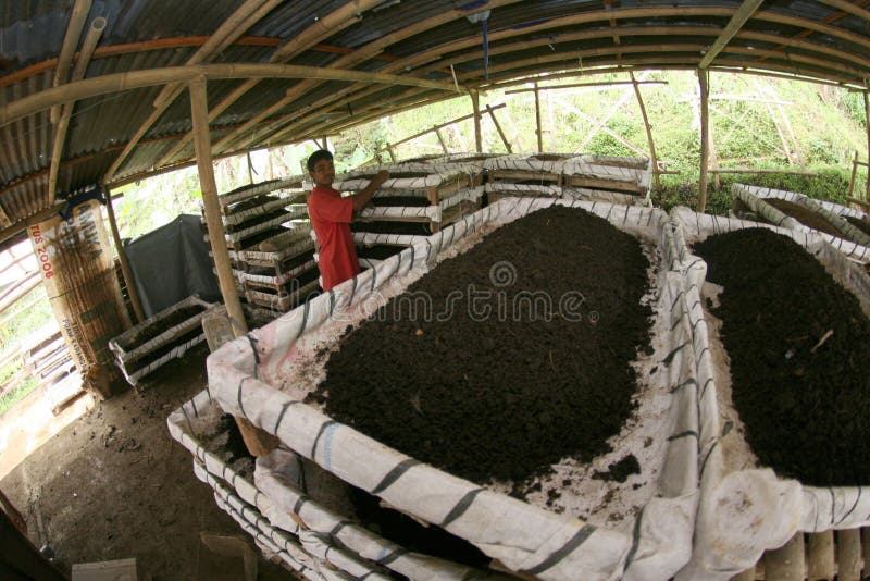 Farmer editorial photography. Image of java, farm, indonesia - 69787007