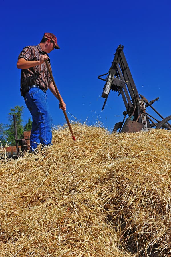 Farmer Feeding a 1918 Hay Bailer Editorial Stock Photo - Image of steam ...