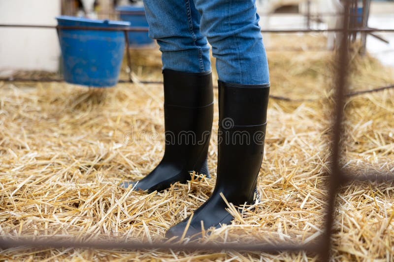 Farmer Feet in Rubber Black Boots Closeup Stock Photo - Image of ...