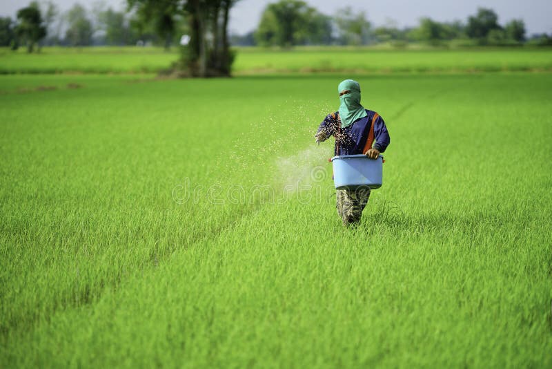 Farmer editorial stock photo. Image of workers, fertilizer - 49741503