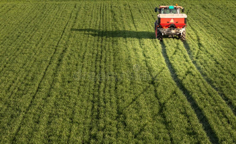 Farmer Fertilizing Arable Land with Nitrogen Fertilizer Stock Image ...