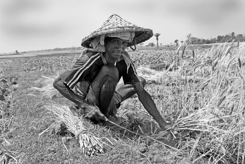 Poor Farmer editorial stock photo. Image of orissa, society - 26668593