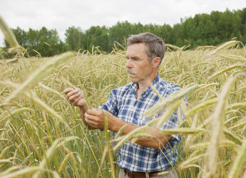 The farmer in the field stock image. Image of field, view - 20285027