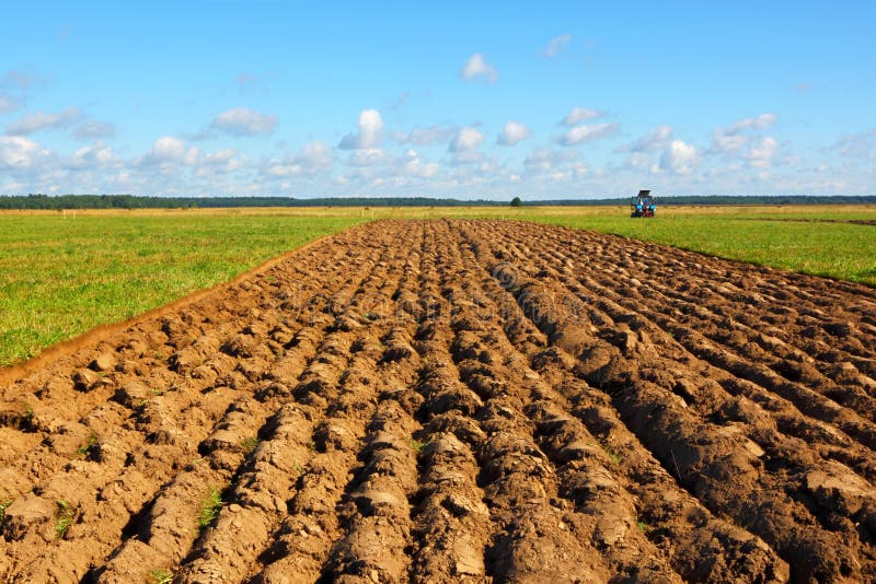 Farmer field stock image. Image of foliage, blue, cultivated - 29199867