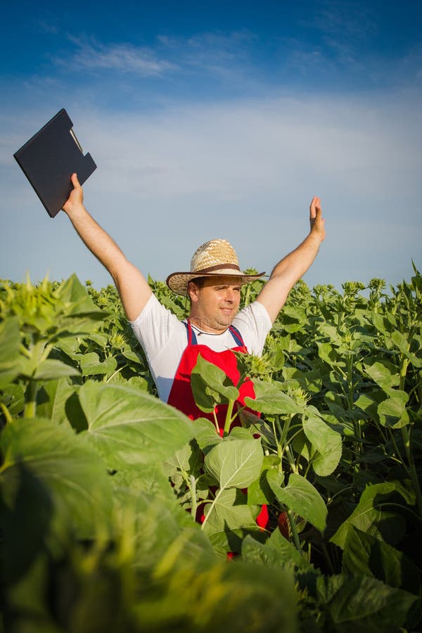 Farmer in field stock photo. Image of biologist, scientist - 31801070