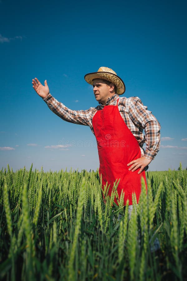 Farmer in a field stock photo. Image of nutritious, farming - 25519844