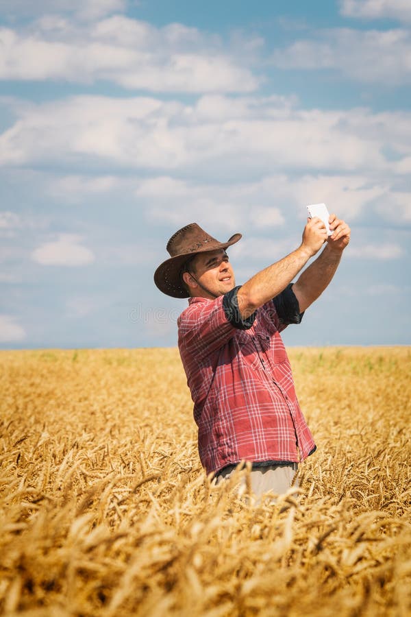 Farmer in field stock image. Image of ripe, summer, organic - 41858705