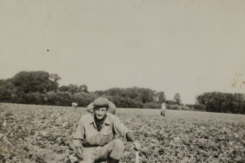 Farmer in the Fields in the 50s Editorial Photography - Image of labor ...