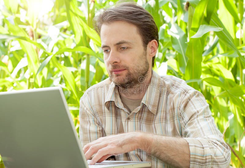 Farmer in Front of Corn Field Working on Laptop Computer Stock Image ...