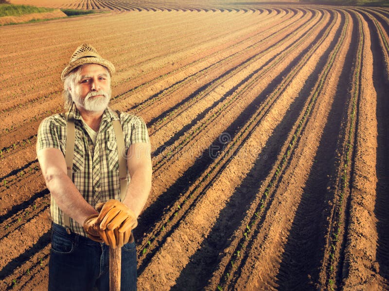 Farmer in Front of His Cultivated Field Stock Image - Image of front ...