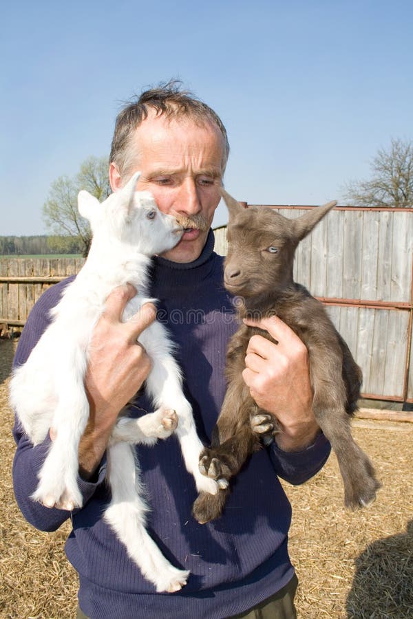 The farmer with goatlings. stock photo. Image of breeder - 9348784