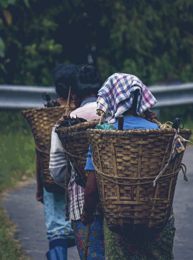 Doko Basket Nepal Stock Photos - Free & Royalty-Free Stock Photos from ...