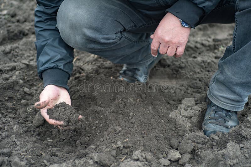 Farmer Hands Digging Ground in Spring in Field Stock Image - Image of ...