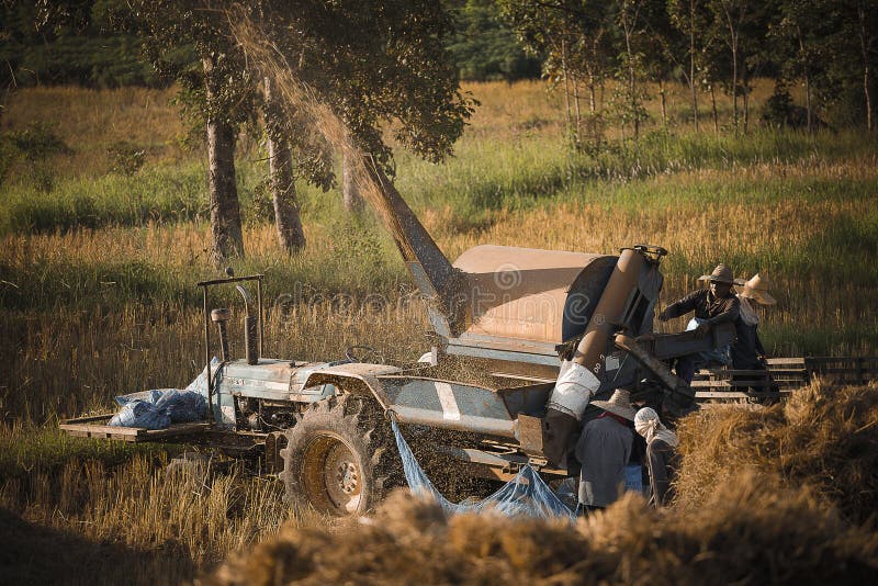 Farmer Plowman Using Tiller Tractor Editorial Stock Photo - Image of ...