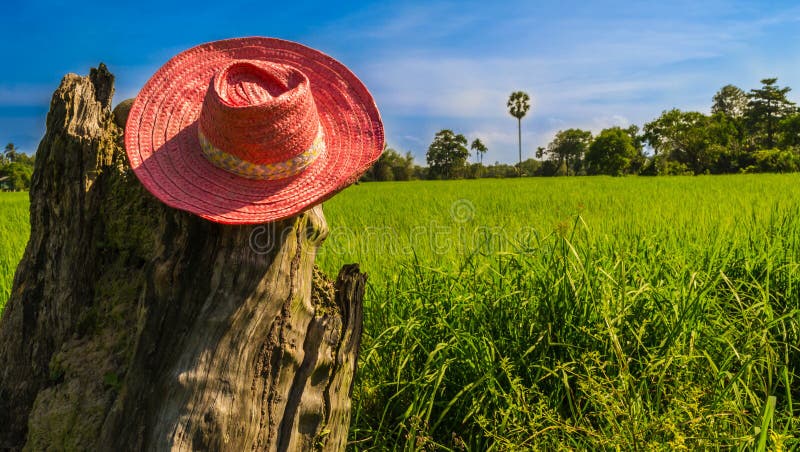 Amish straw hat stock image. Image of accessory, dutch - 33803101
