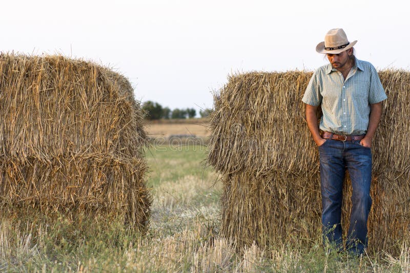 Farmer with Hay Bales stock image. Image of years, green - 20919457