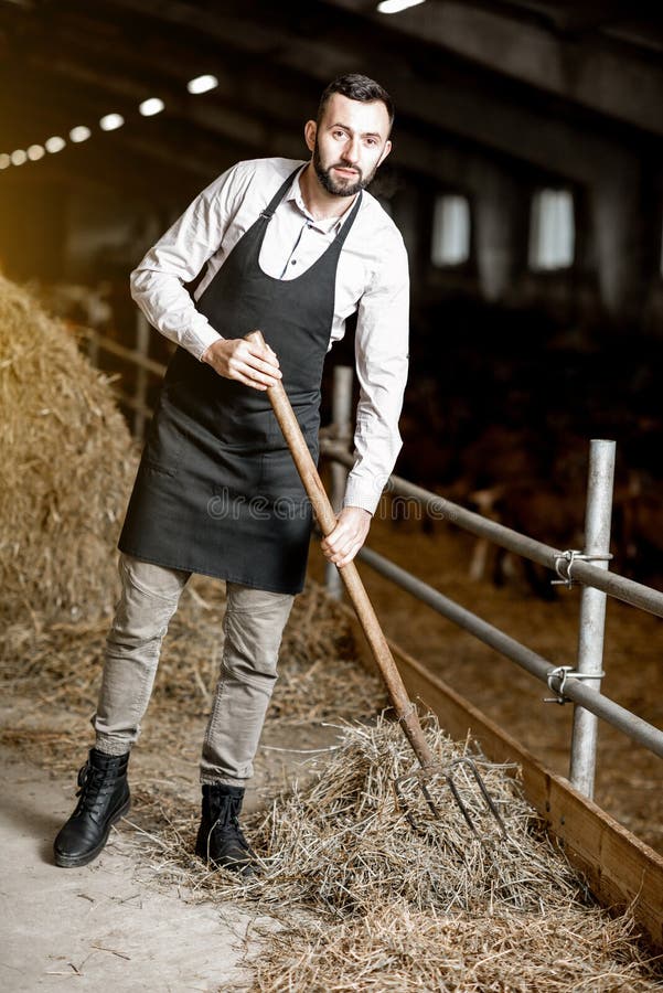 Farmer with Hay in the Stable Stock Image - Image of bearded, adult ...