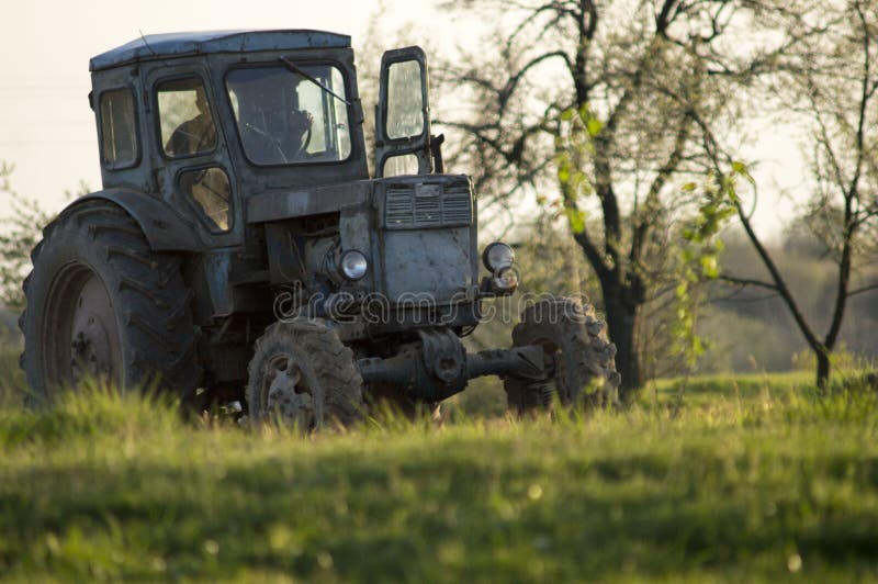 Regular farm work editorial photography. Image of sowing - 134136042