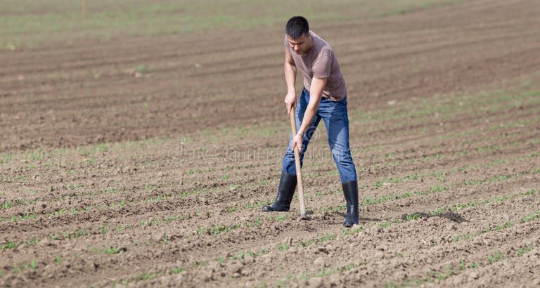 302 Hoeing Weeds Stock Photos - Free & Royalty-Free Stock Photos from ...