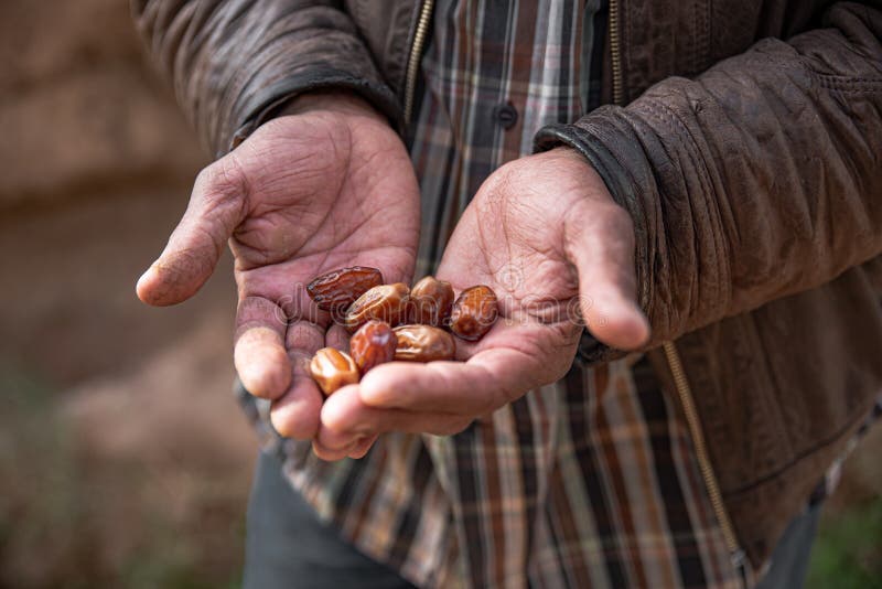Farmer Holding Dates in His Hands Stock Image - Image of vitamin, space ...