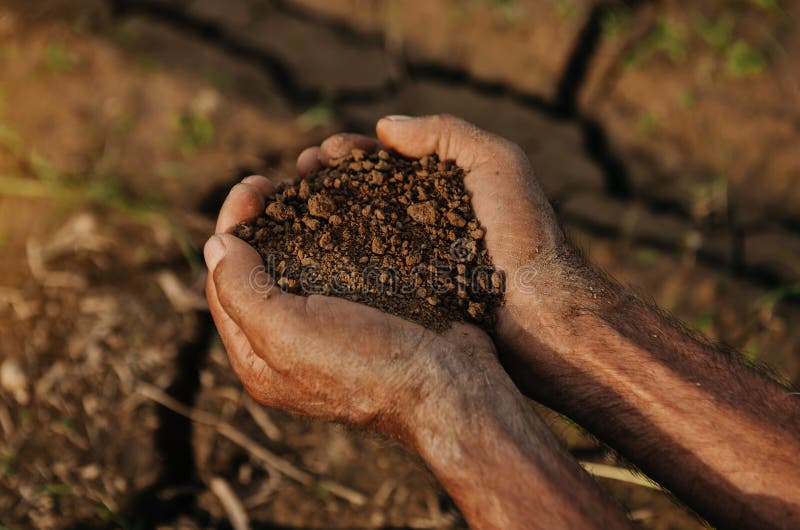 Farmer Holding Soil in Hands Close-up Stock Photo - Image of check ...