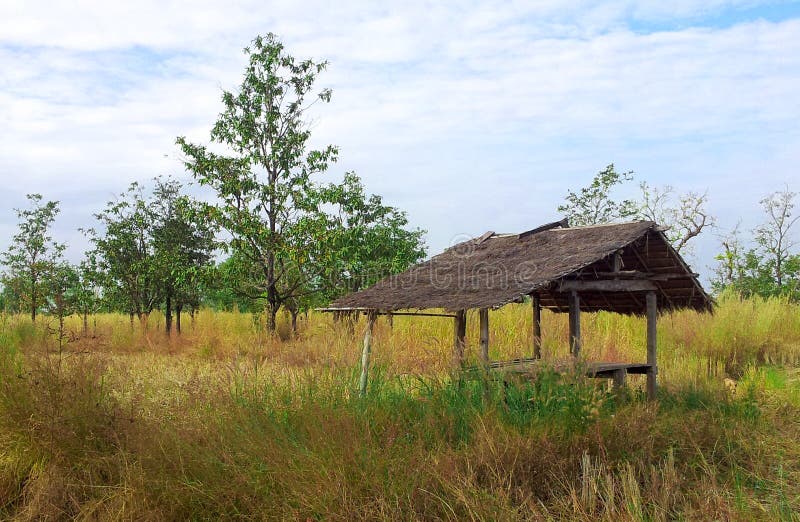 Farmer hut 2 stock image. Image of outdoor, green, rural - 45363479