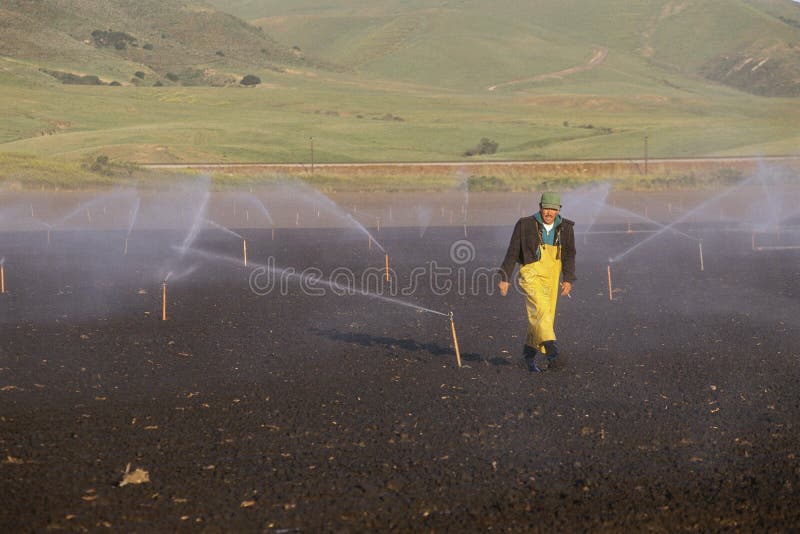 Farmer in irrigation field editorial image. Image of individual - 23147865