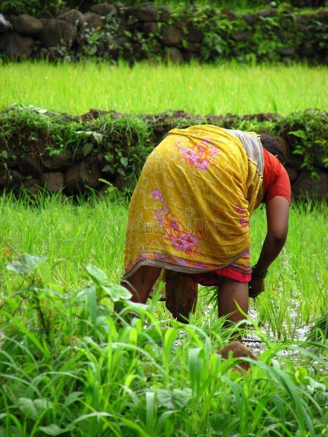 Farmer Lady stock image. Image of beautiful, farming, colors - 2870165
