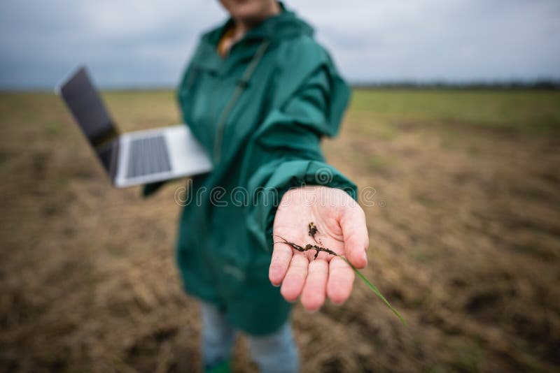 Farmer with Laptop on the Field. Stock Image - Image of communication ...