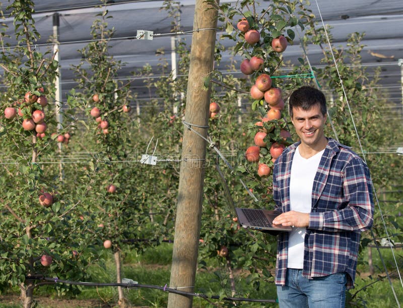 347 Orchard Computer Stock Photos - Free & Royalty-Free Stock Photos ...