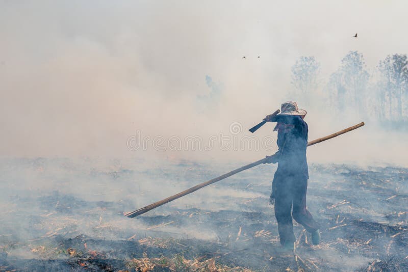 Farmer Lighting Thailand Controlled Prairie Field Burning Stock Image ...