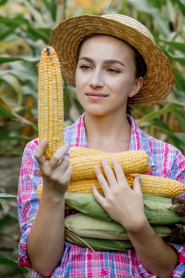 Farmer Looking at the Germination of Young Corn in the Field. Analyzes ...
