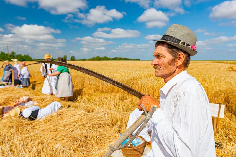 Farmer is Looking at Grain Field Editorial Stock Photo - Image of ...