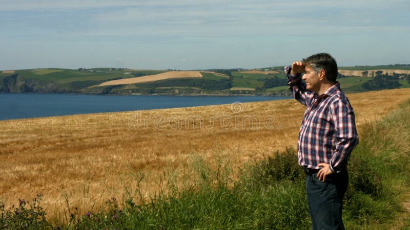 Farmer Looking at His Organic Vegetables on a Plantation on Sunset ...