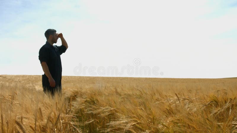 Farmer Looking at His Organic Vegetables on a Plantation on Sunset ...