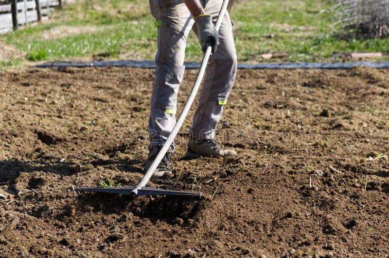 Farmer Loosening the Soil before Planting Stock Image - Image of plant ...