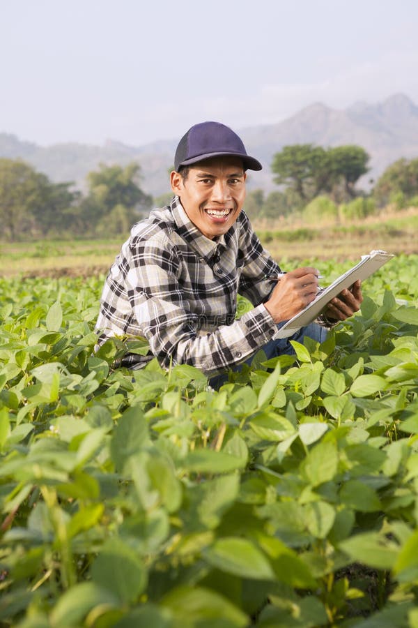 Farmer man stock photo. Image of season, close, agribusiness - 48010884